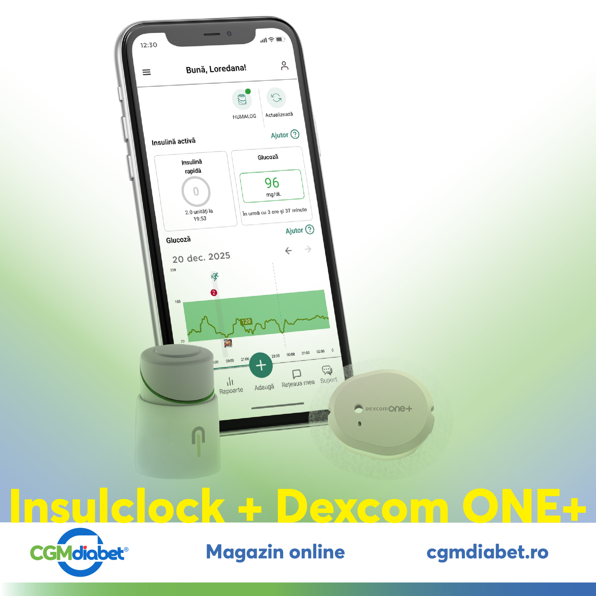 Insulclock + Dexcom ONE+ = control glicemic mai intelligent – Dexcom ...